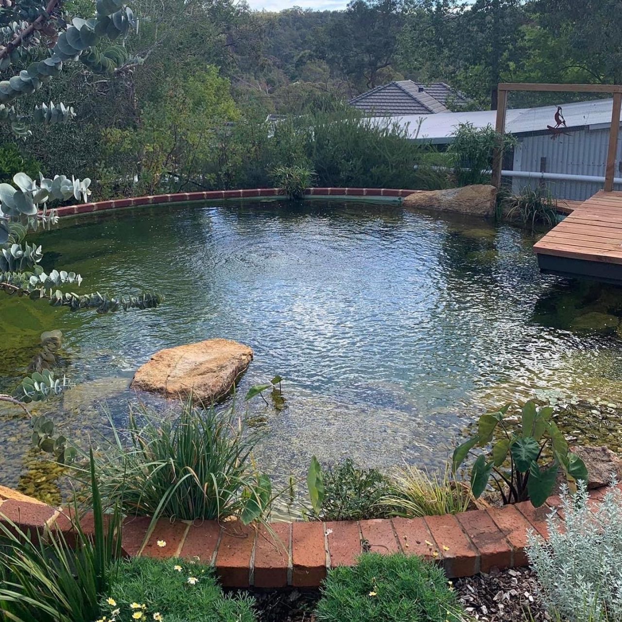 Swimming Pond Rock Pools by Think Green in Perth Western Australia
