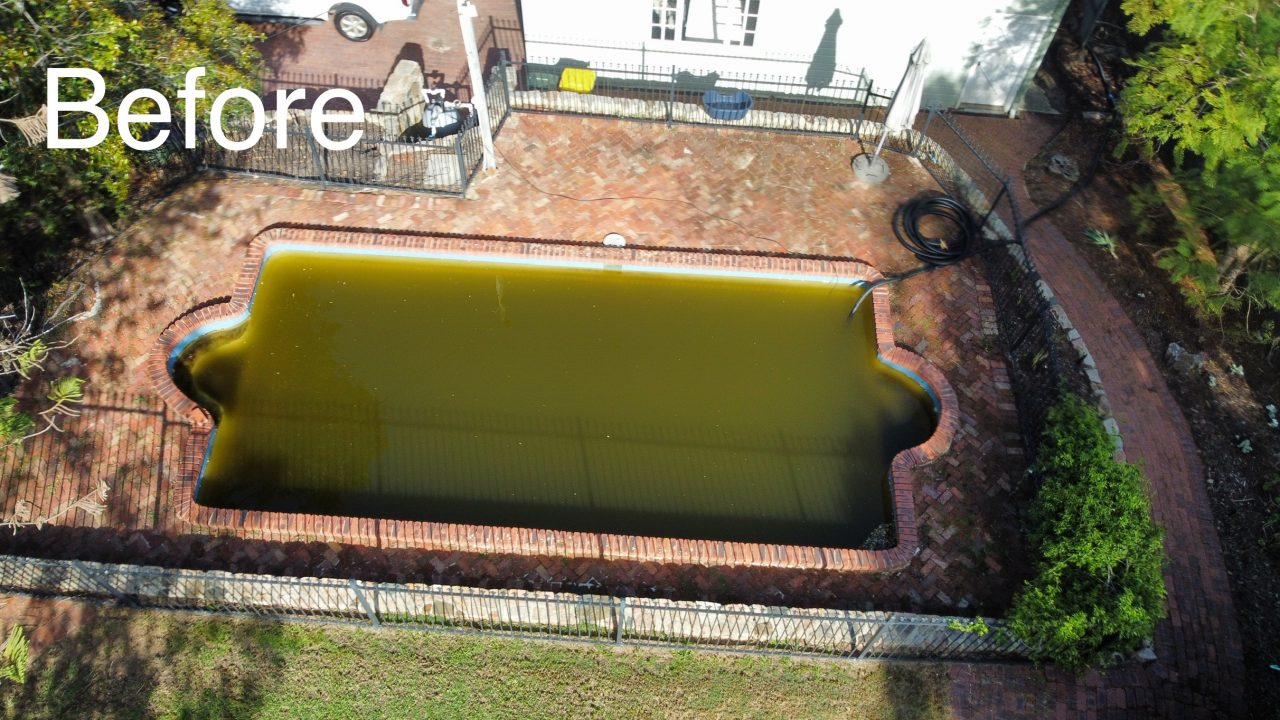 Natural Swimming Pool Conversions in Perth - Think Green Western Australia