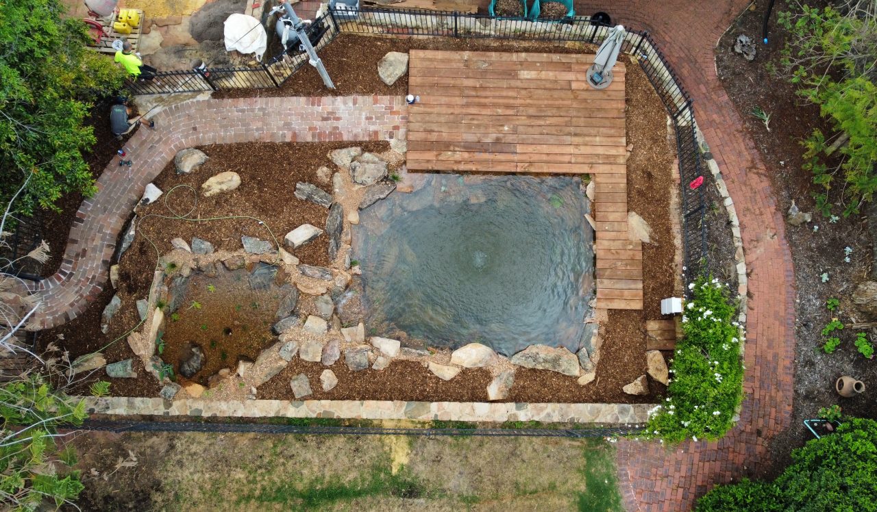 Natural Swimming Pool Conversions in Perth - Think Green Western Australia