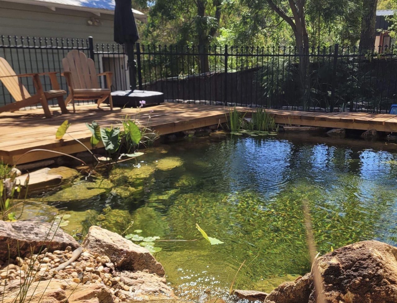 Natural Swimming Pool Conversions in Perth - Think Green Western Australia