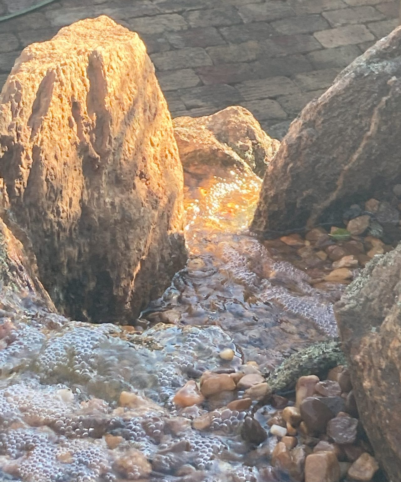 Steep Pondless Waterfall in Roleystone - Think Green Western Australia