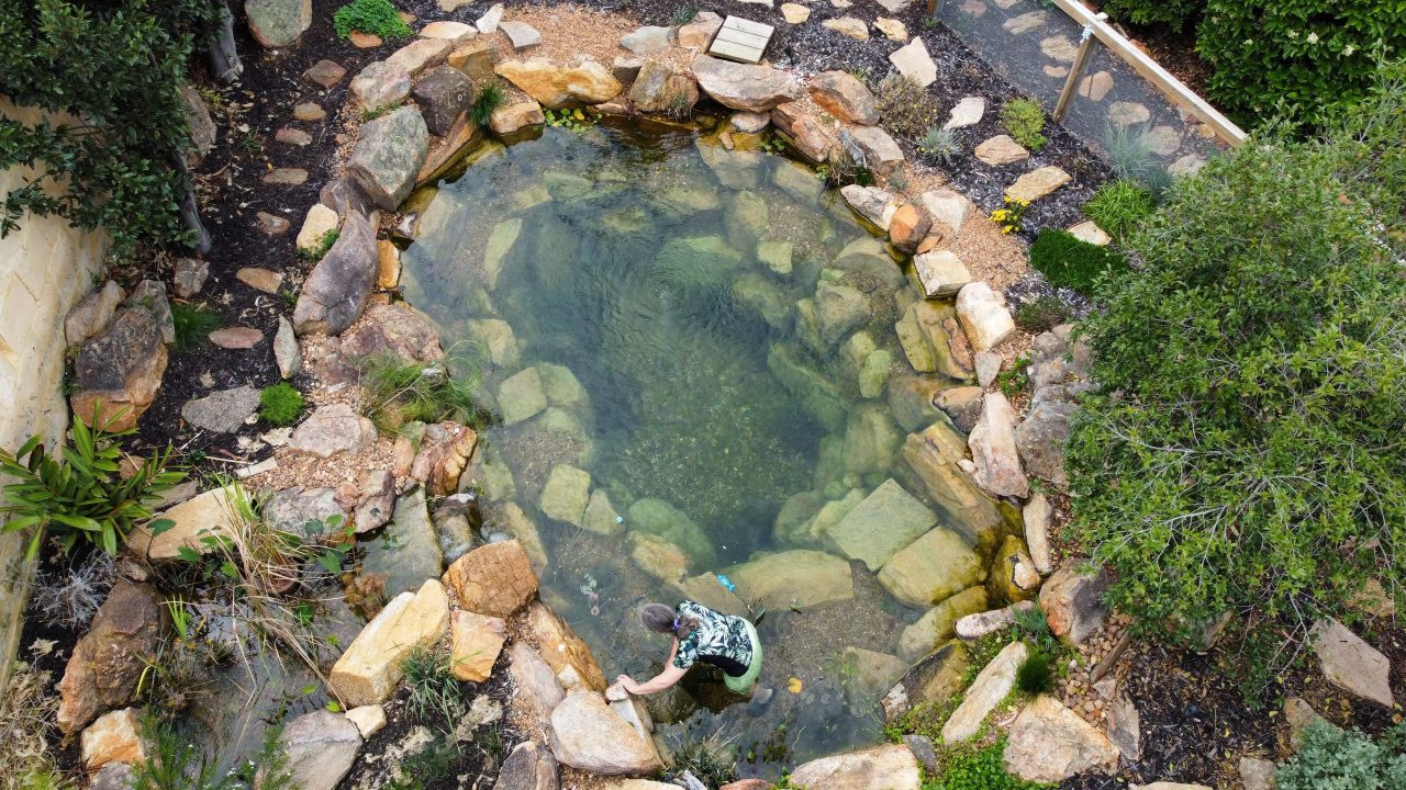 Claremont Swim Pond - Think Green Western Australia