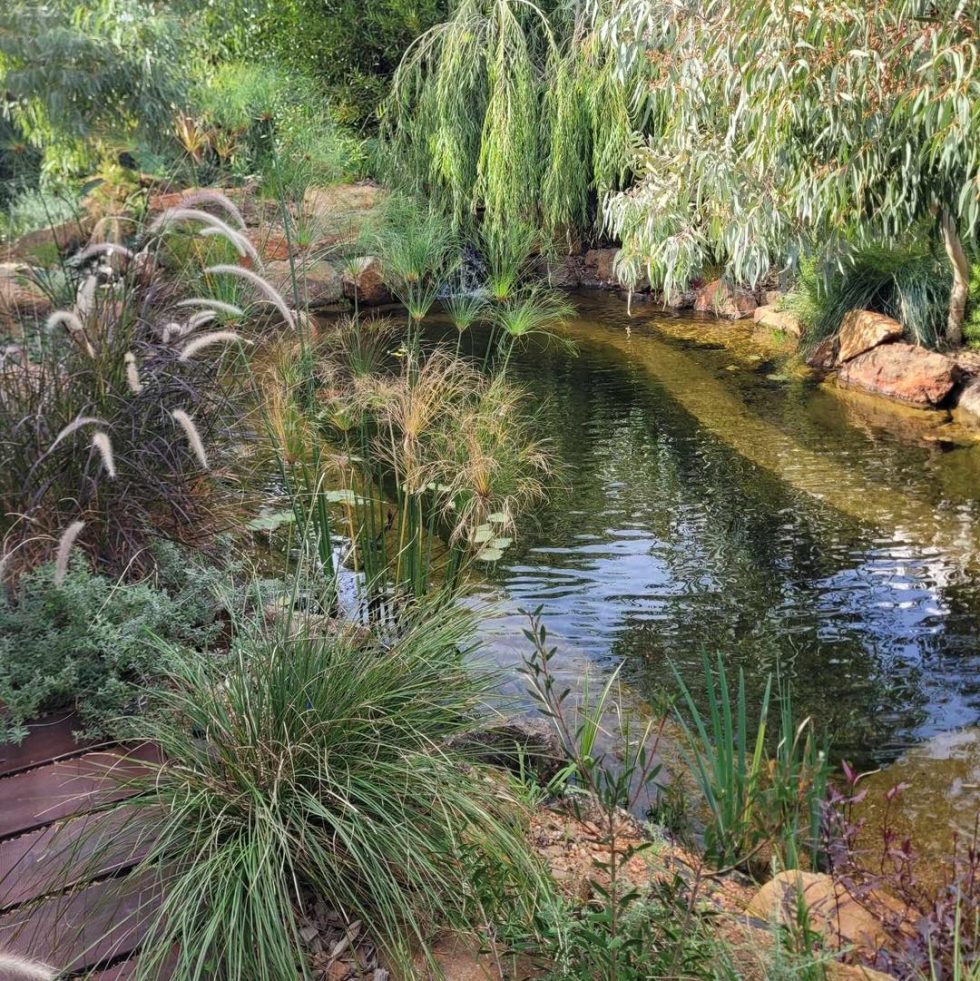 Natural Pool Swimming Ponds by Think Green in Perth Western Australia