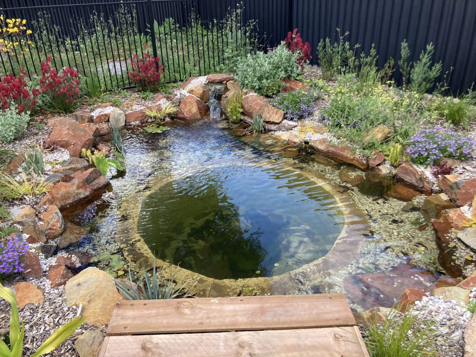 Natural Pool Swimming Ponds by Think Green in Perth Western Australia